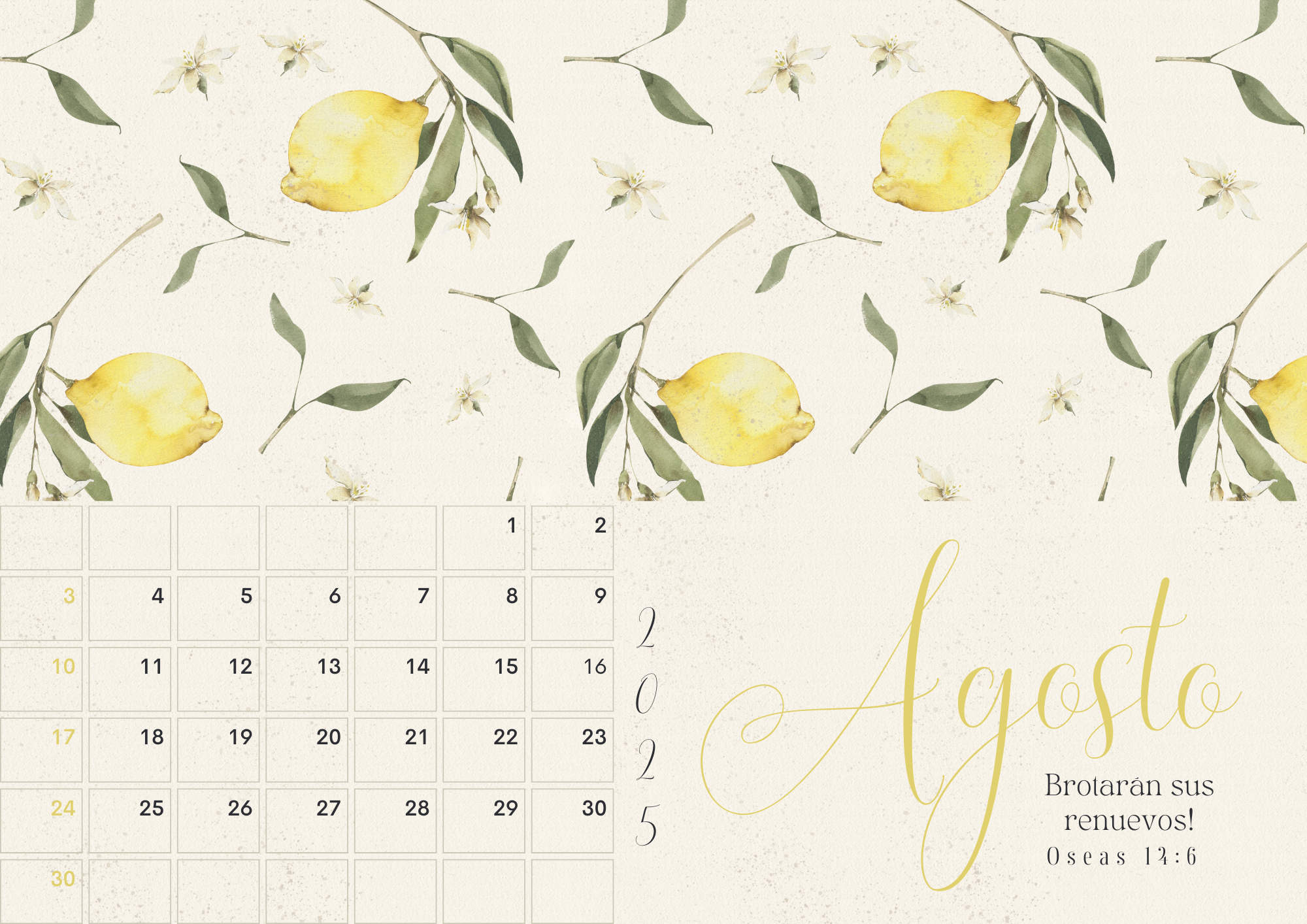 Wallpapers 2025 – Yicell de Ortiz Blog